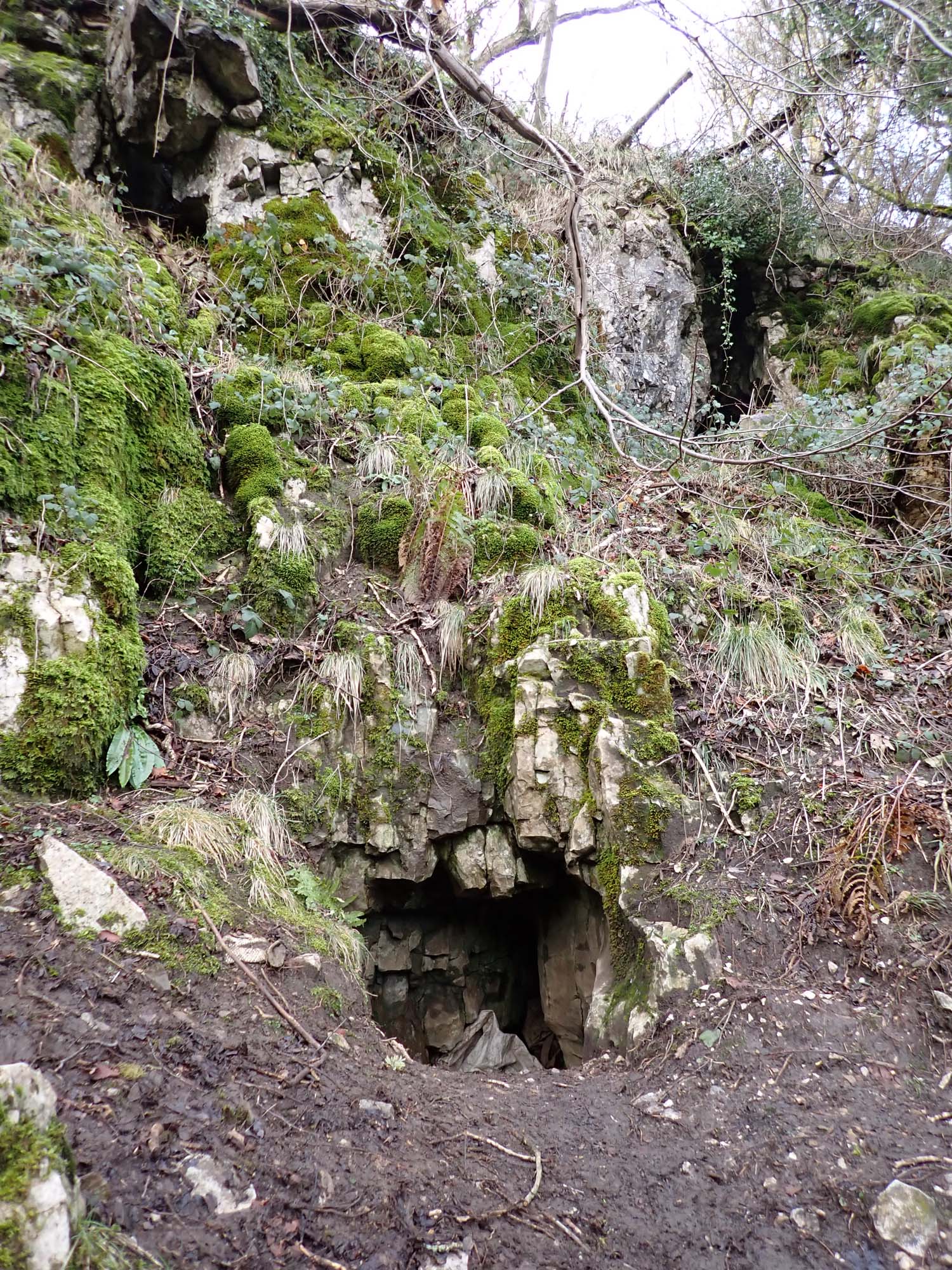 Cambrian Cave Registry